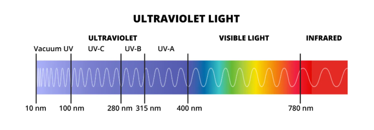 UV Flashlights: Everything You Need To Know And Why