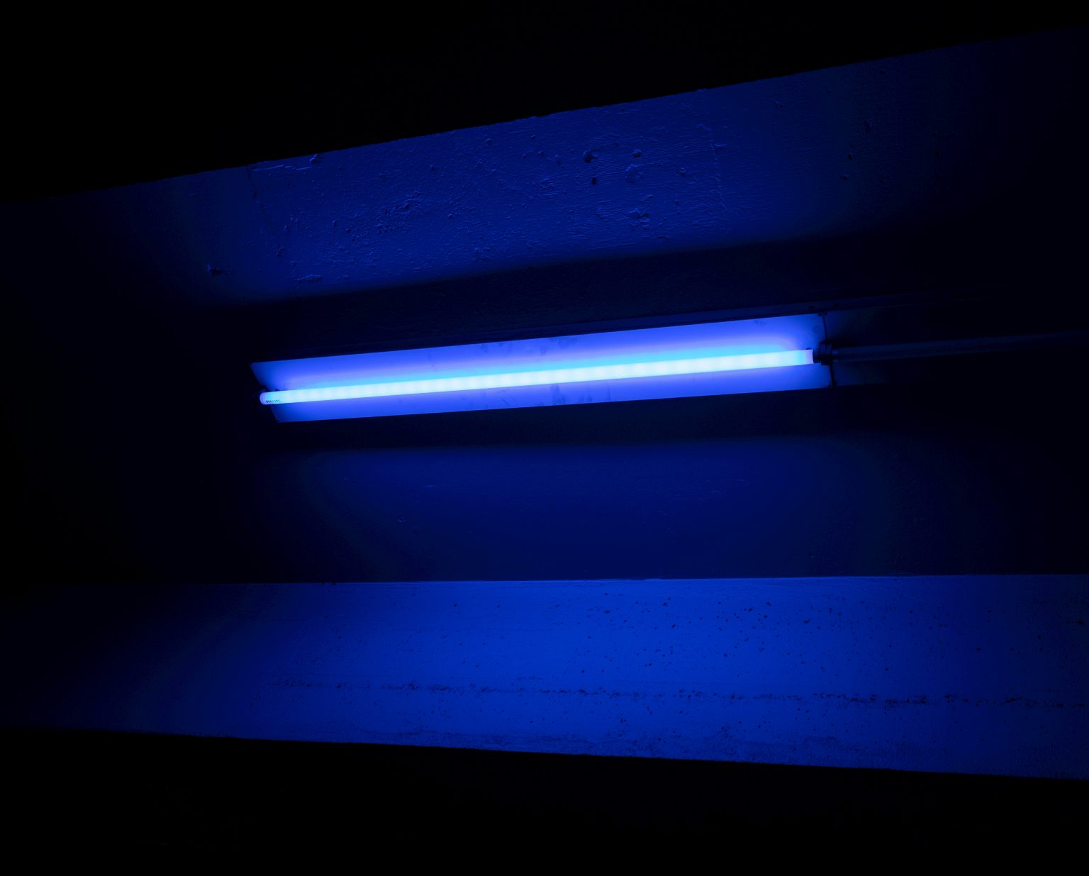 UV Flashlights: Everything You Need To Know And Why